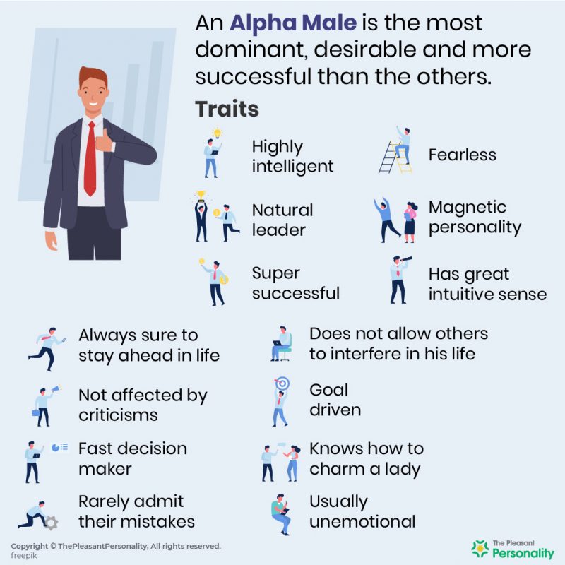 Who is Alpha Male? – Everything there’s to know about him