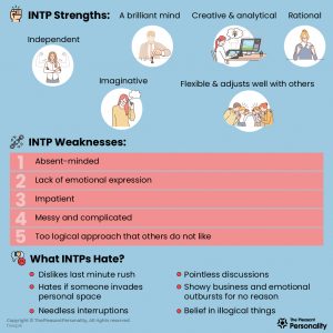 A Detailed Analysis of An INTP Personality Type – Ingenious Thinker