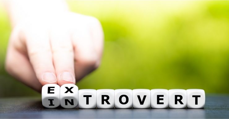 Introversion vs Extroversion – The Functional Analysis