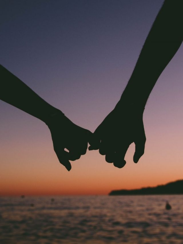 Exploring All About Sigma Male Relationship And Compatibility Exploring All About Sigma Male Relationship And Compatibility