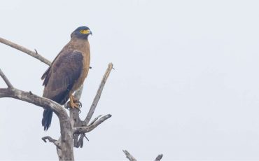 20 ENFP Strengths and Weaknesses That You Should Know